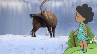L'imagier animé de Koumi | TFOU MAX
