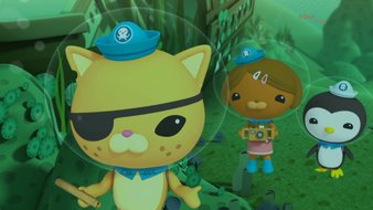 Les Octonauts - Dessin Animé | TFOU MAX