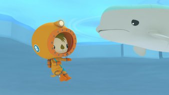 Les Octonauts - Dessin Animé | TFOU MAX