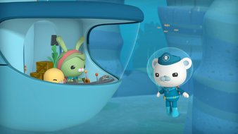 Les Octonauts - Dessin Animé | TFOU MAX