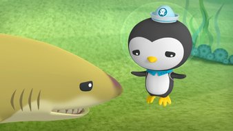 Les Octonauts - Dessin Animé | TFOU MAX