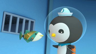 Les Octonauts - Dessin Animé | TFOU MAX