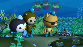 Les Octonauts - Dessin Animé | TFOU MAX