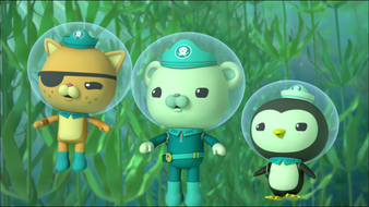 Les Octonauts - Dessin Animé | TFOU MAX