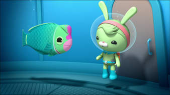 Les Octonauts - Dessin Animé | TFOU MAX