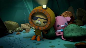 Les Octonauts - Dessin Animé | TFOU MAX